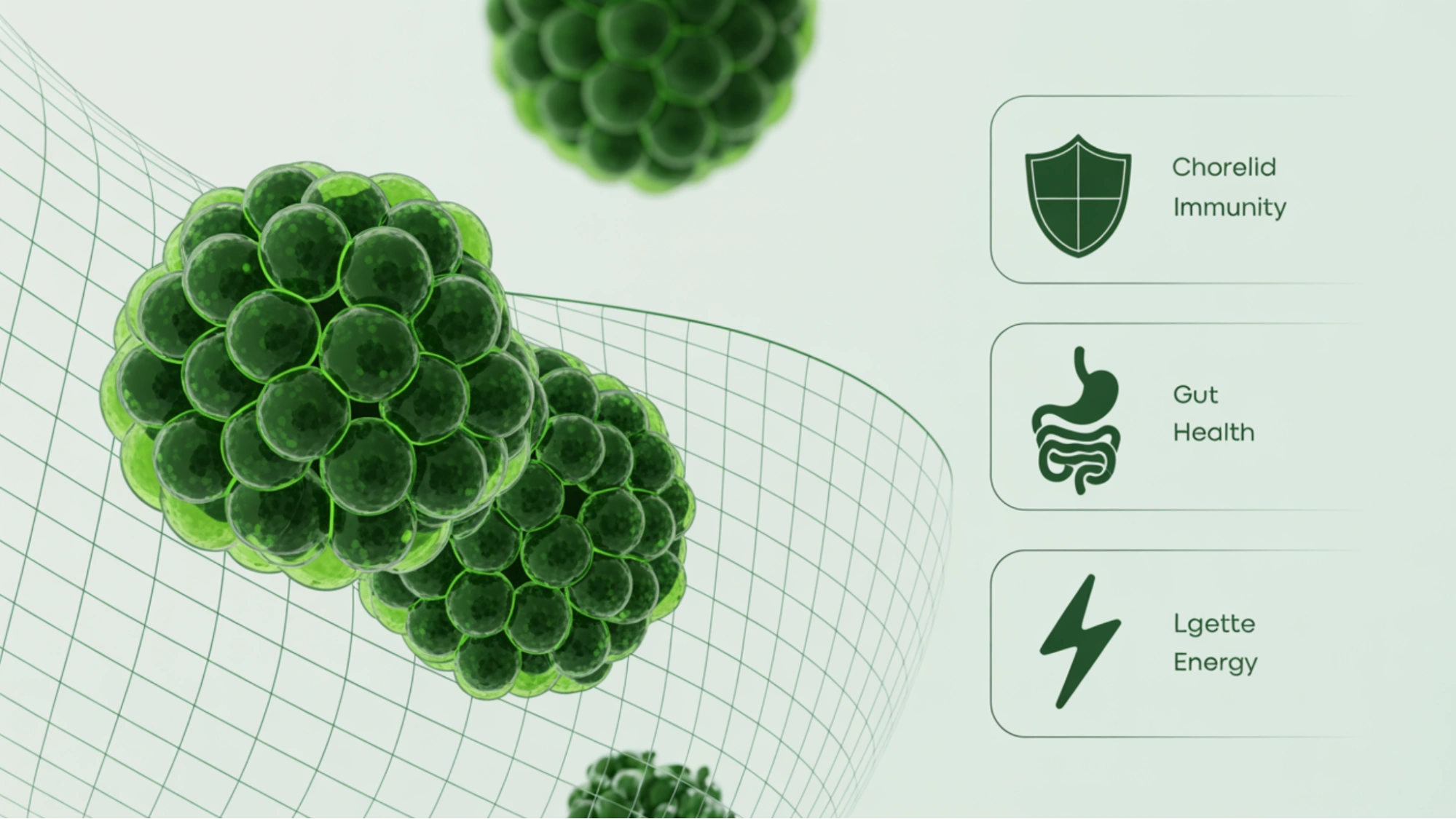 7 Amazing Chlorella Benefits You Should Know About